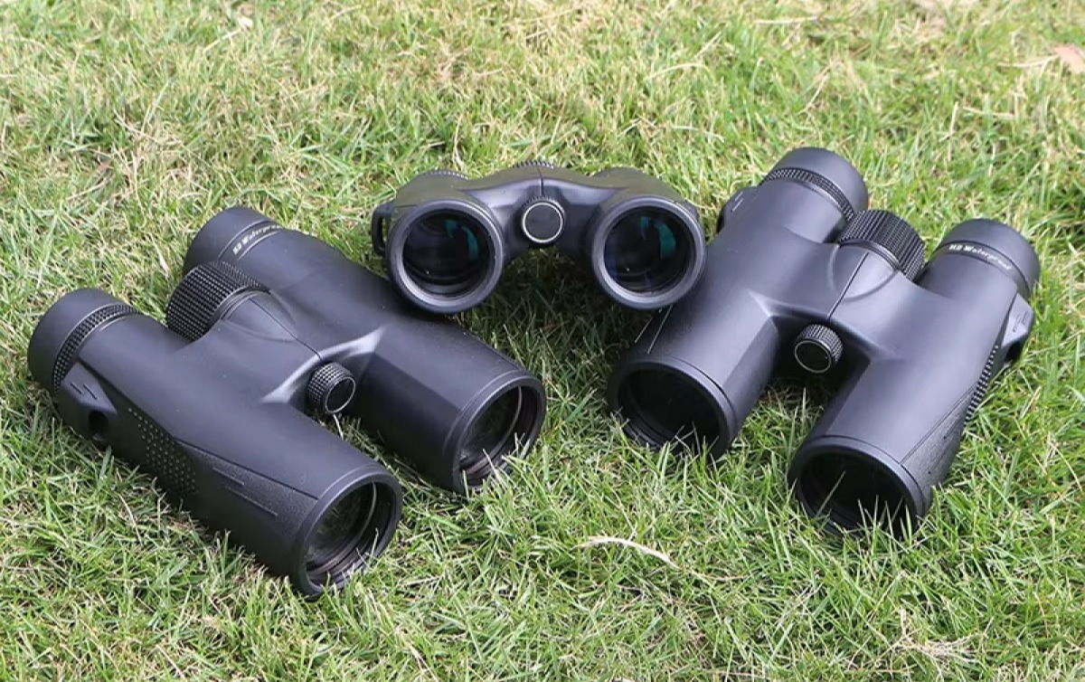 Top 5 Best Binoculars for Bird Watching: Expert Reviews & Buying Guide