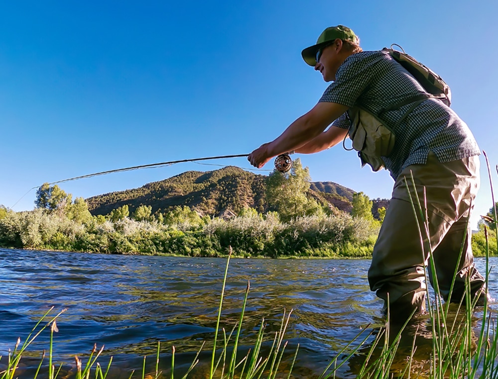 Best 5 Fly Fishing Rods of 2025