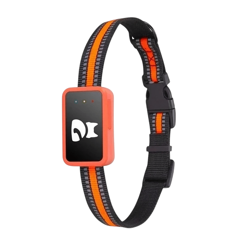 Best 5 Dog GPS Collars of 2026: Keep Your Adventurous Pooch Safe
